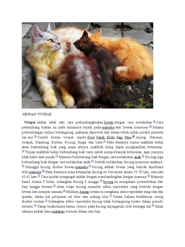 Pengertian dan Contoh Hewan Vivipar | PDF