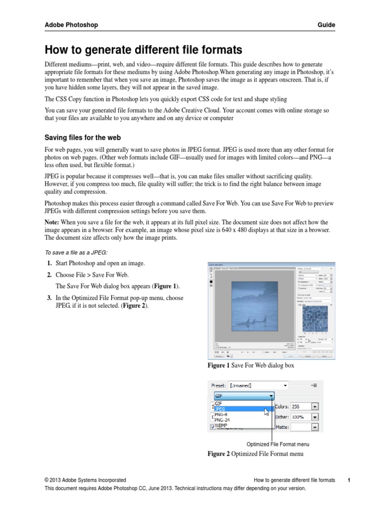 Ps Howto Generate File Formats | PDF | Adobe Photoshop | Video