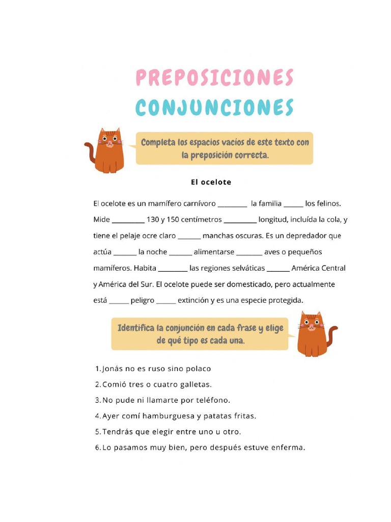 Actividad Las Preposiciones Conjunciones Pdf