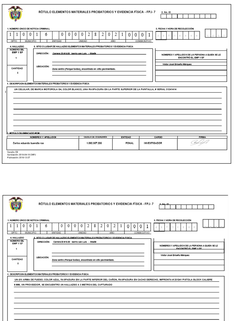 Formato PJ4 Rotulo | PDF