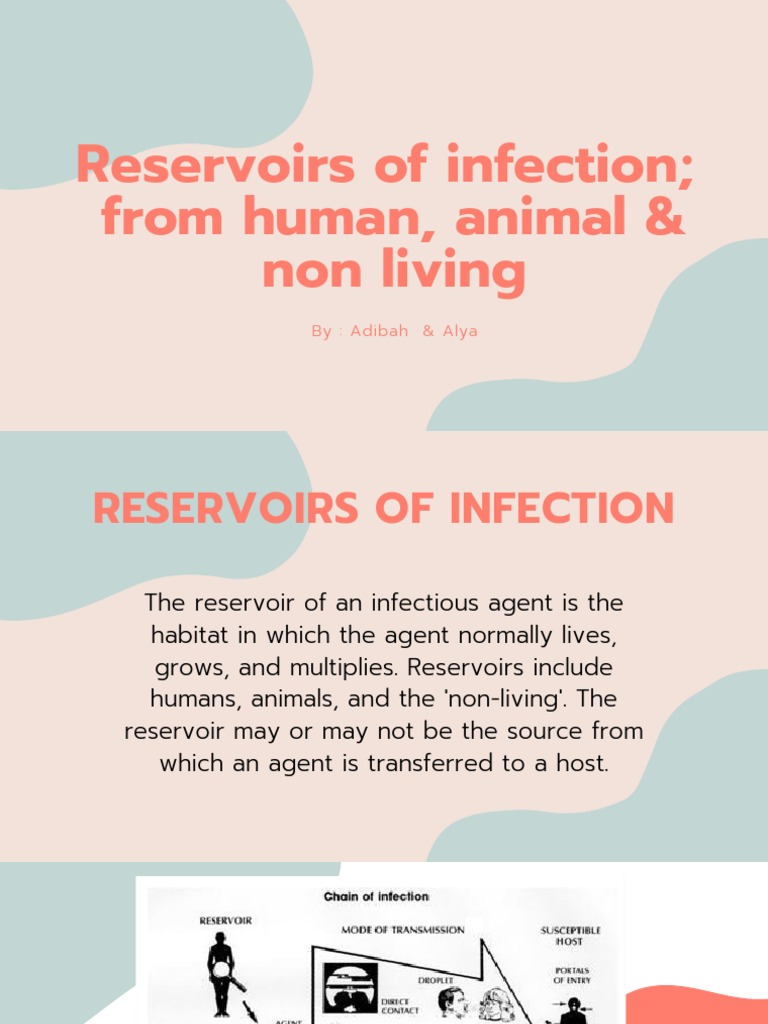 Reservoirs of Infection From Human, Animal & Non Living | PDF ...