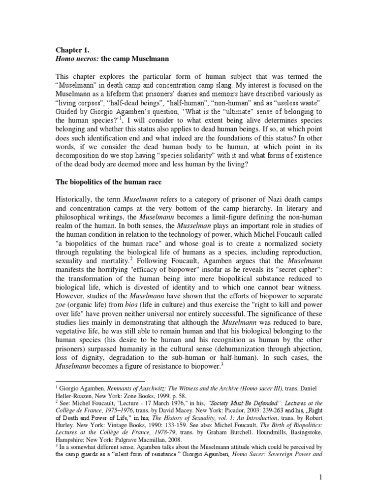 Domanska, Muselmann, in Her, Necros | PDF | Social Science | History