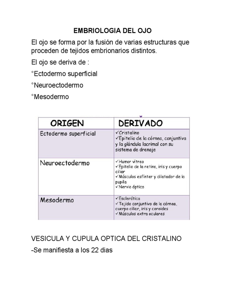 Embriologia Del Ojo | PDF