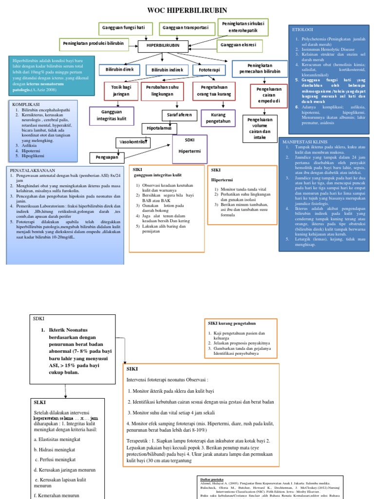 Woc Hiperbilirubin Klompok 2 | PDF
