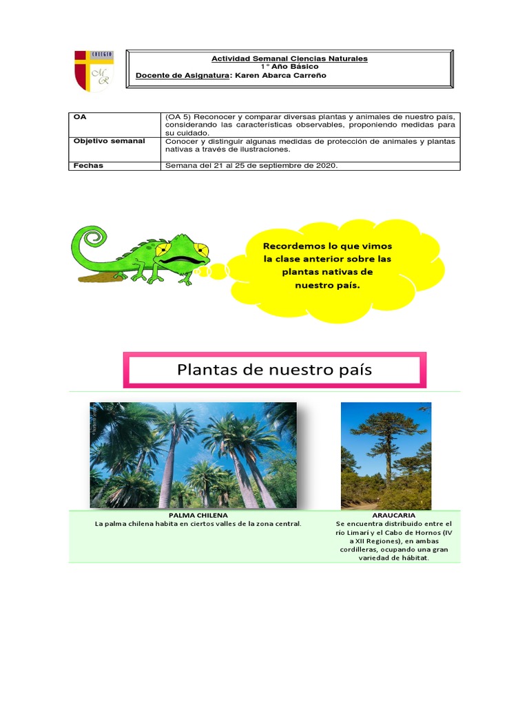 Csnat 1° | PDF | Chile | Arboles