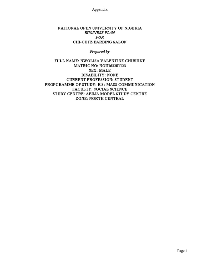 Business Plan FOR: Appendix | PDF | Business Economics | Economies