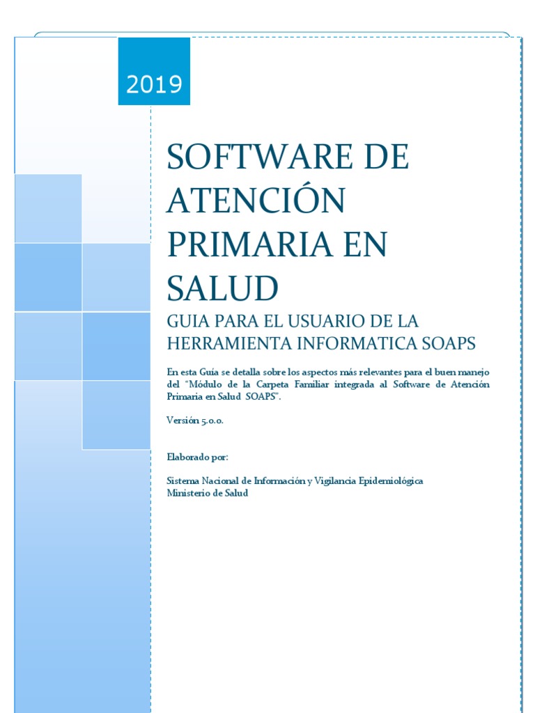SOAPS Manual-V500 | PDF | Apoyo | Archivo de computadora