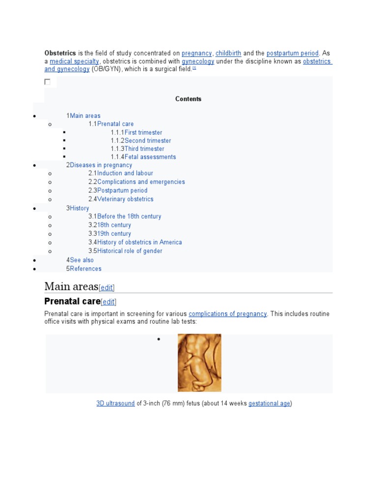Main Areas: Prenatal Care | PDF | Obstetrics | Childbirth
