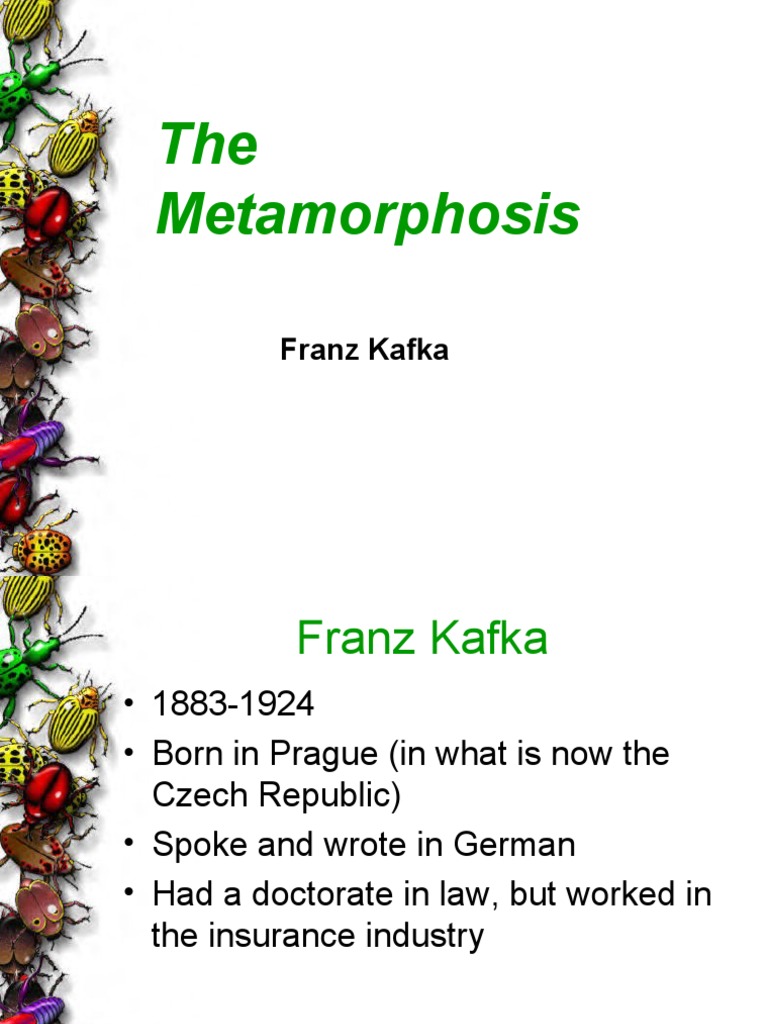 Kafka Specific Overview | PDF | The Metamorphosis