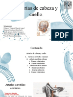 Anatomia Topografica de Cabeza y Cuello | PDF | Cráneo | Sistema esquelético