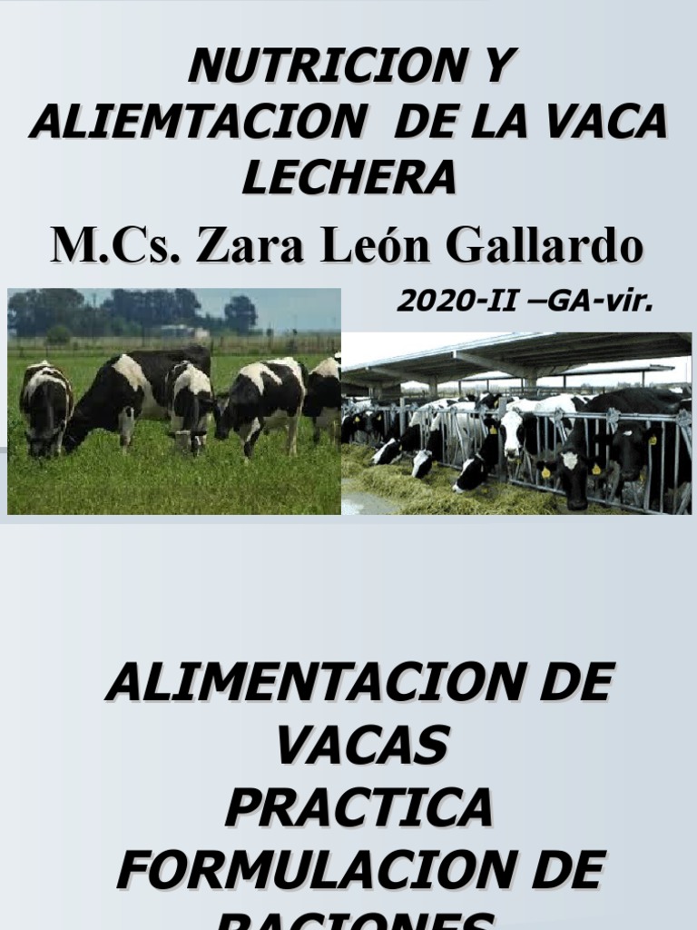 Alimentacion Vaca Lechera 2020-Ii Ga Adec. 2. Virt | PDF | Vacas ...