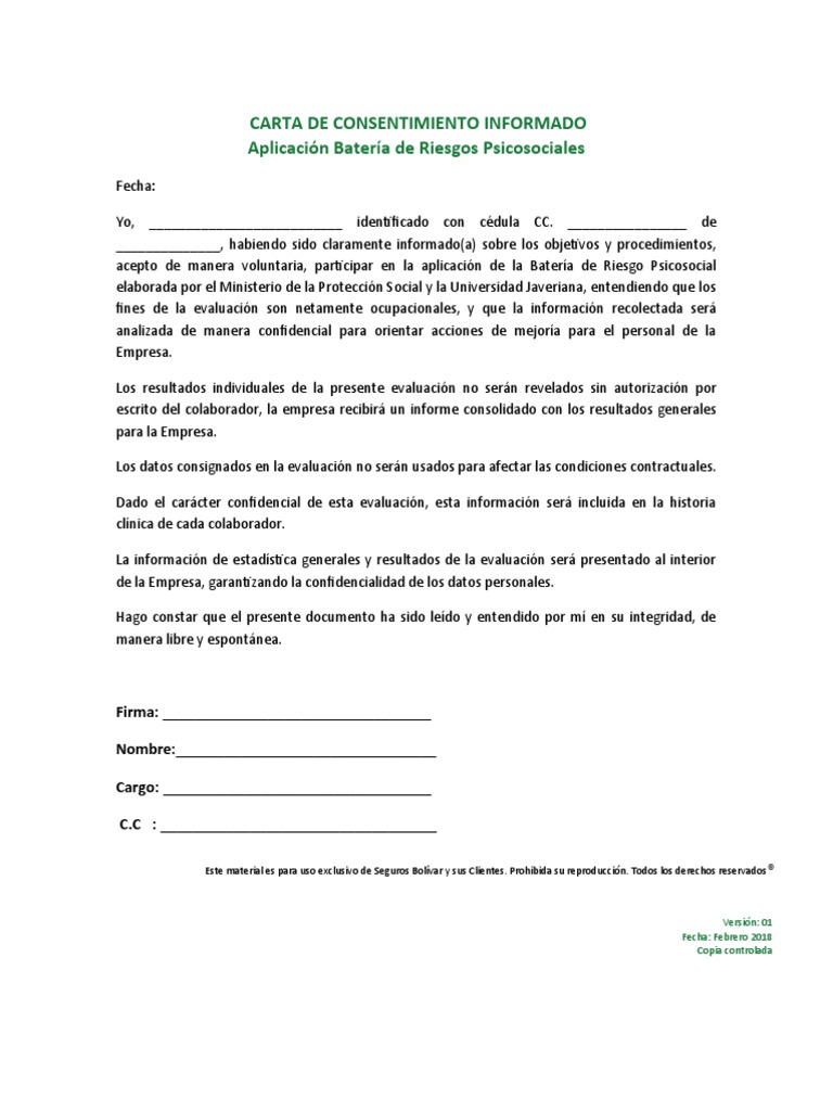 Anexo E. Carta de Consentimiento Informado. | PDF