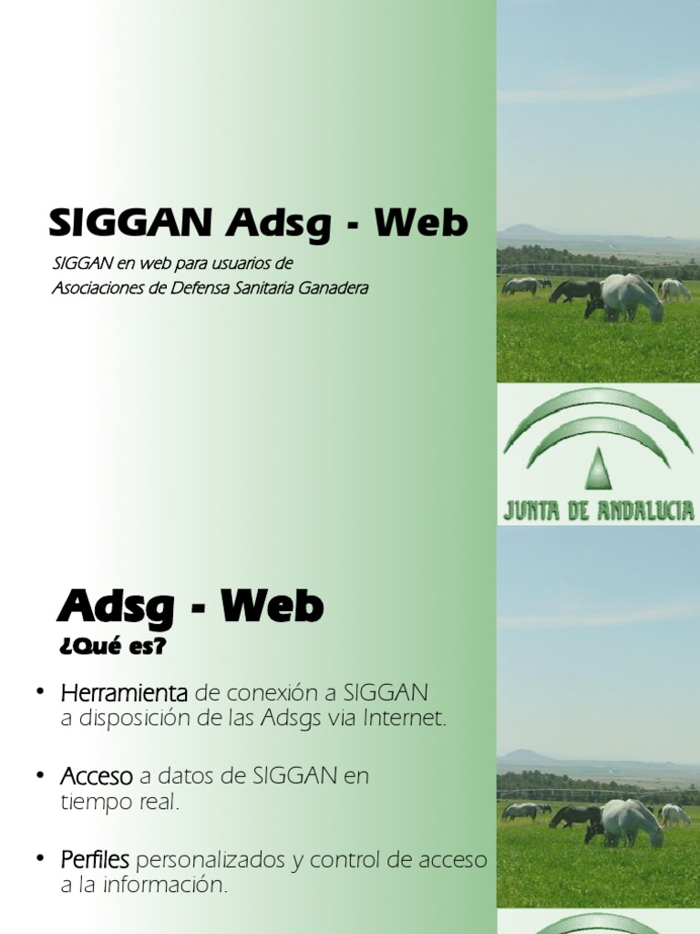 Adsg Web Nueva | PDF | Red mundial | Internet y web
