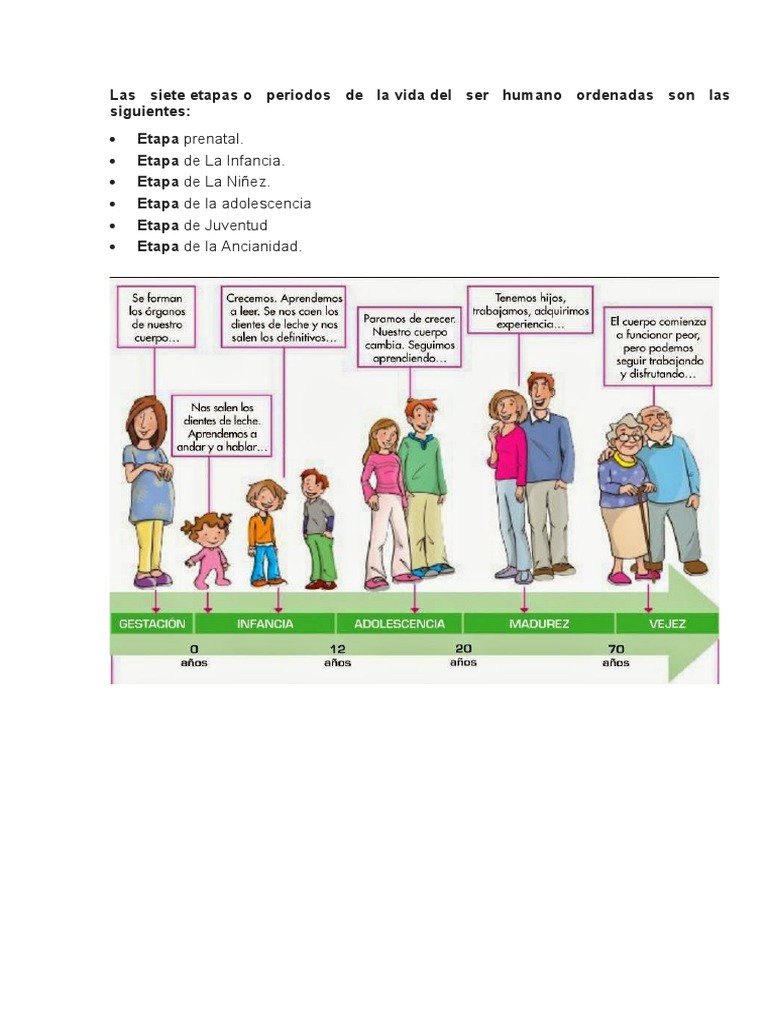 Etapas de La Vida | PDF