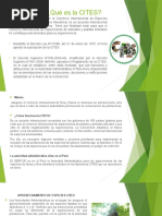 Apéndices de La CITES (General) PDF | PDF | Organismos | Familia