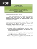 Tugas Individu 1 Isu Instansi Manajemen ASN Dan SMART ASN | PDF