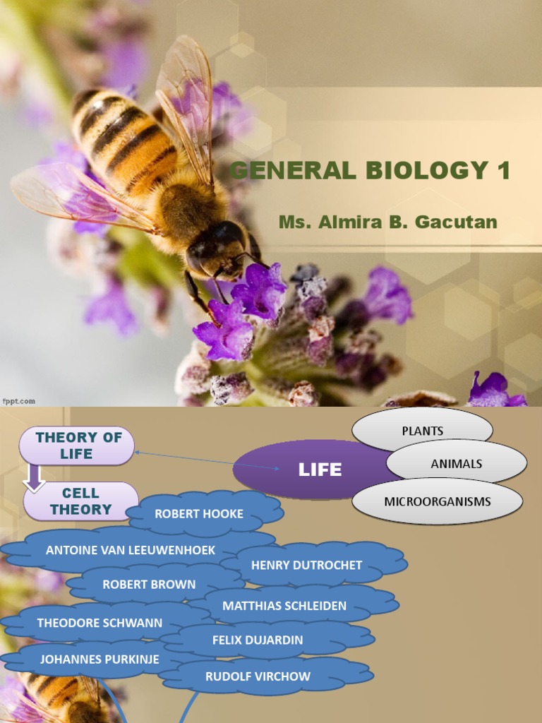 Scientist Behind The Cell Theory | PDF | Cell (Biology) | Histology