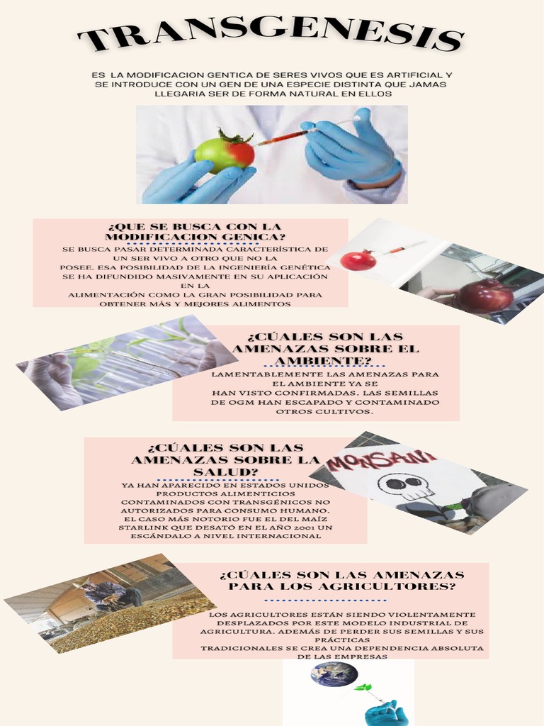 Infografia Transgenesis Guiza 1009 | PDF