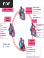 Inervación Del Corazón | PDF | Corazón | Neuroanatomía