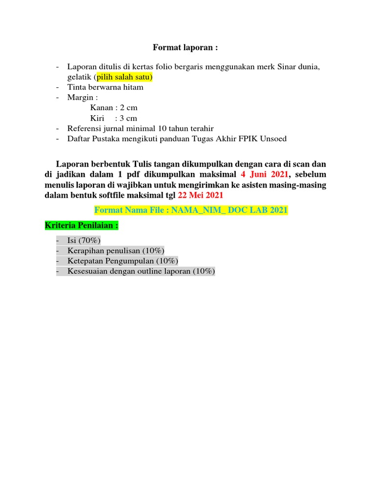 Format Dan Outline Laporan DOC LAB 2021 | PDF