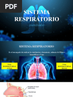 Estridor Laringeo . | PDF | Laringe | Tos