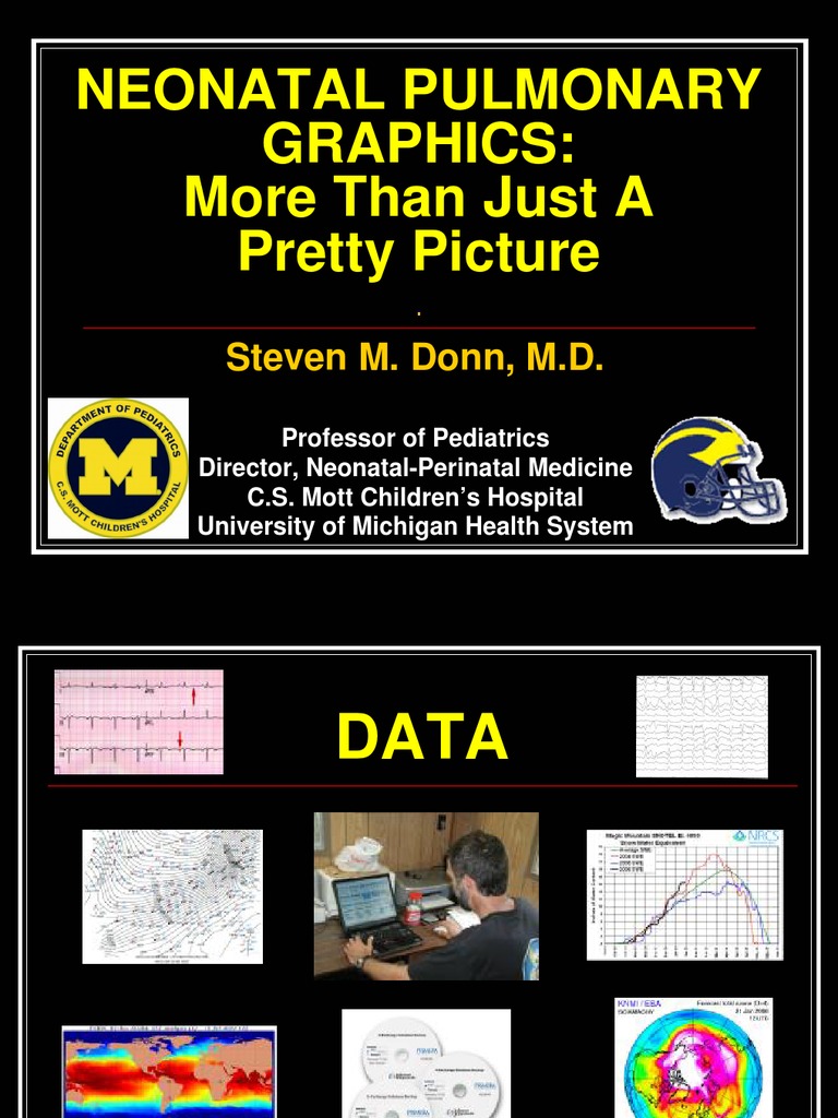 Neonatal Pulmonary Graphics: More Than Just A Pretty Picture | PDF ...
