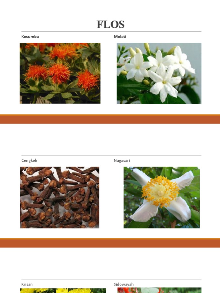 Simplisia Flos | PDF