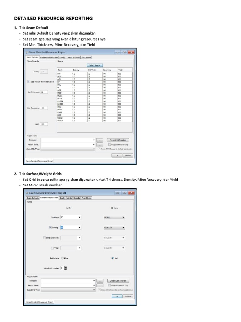 Detailed Resources Reporting in Minex | PDF