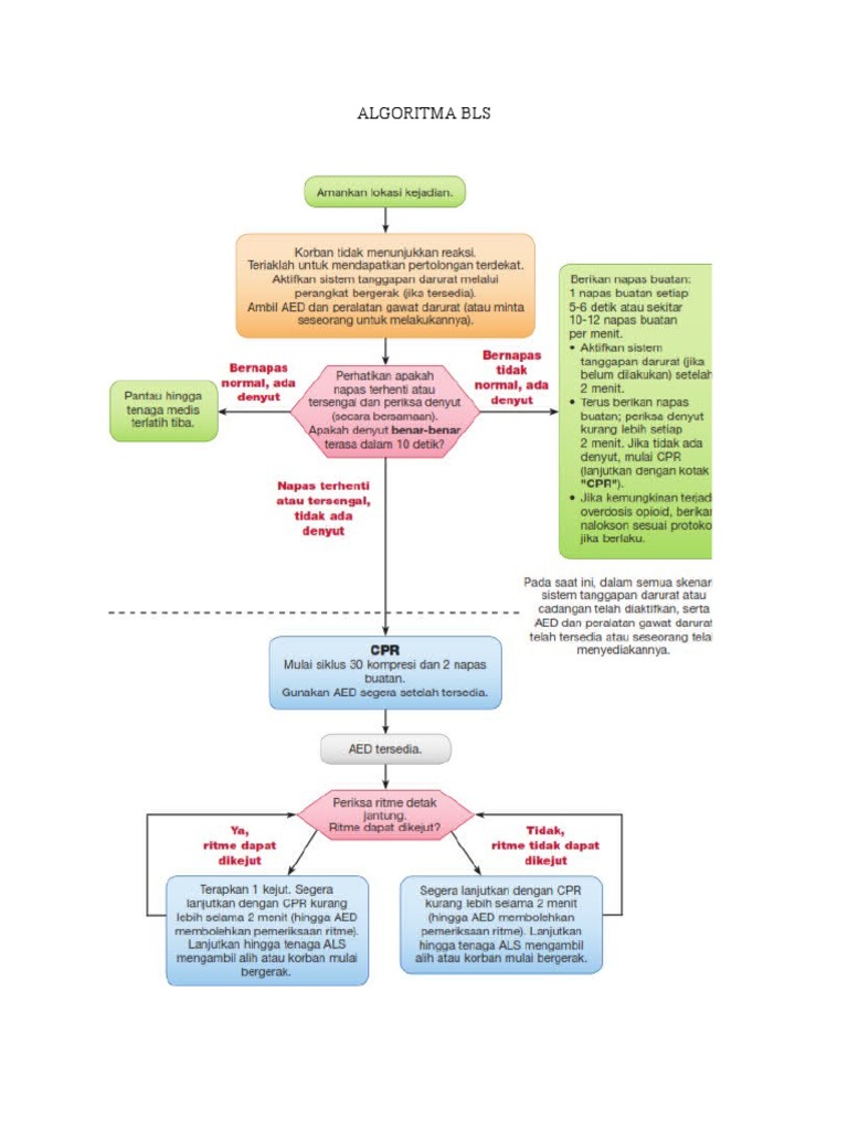 Algoritma Acls | PDF