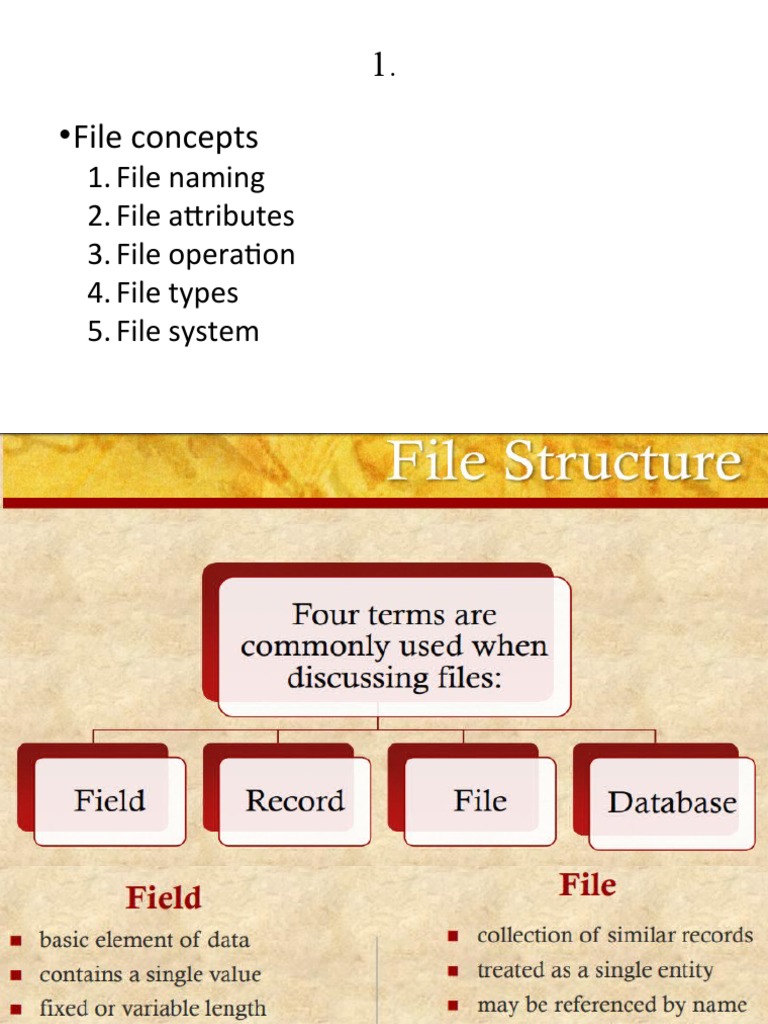 File Management | PDF | Computer File | Directory (Computing) File Management | PDF | Computer File | Directory (Computing)