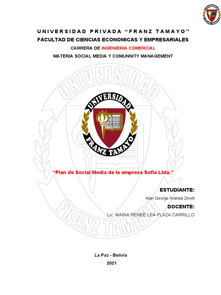 Plan de Social Media de La Empresa Sofia Ltda | PDF | Calidad (comercial) | Marketing