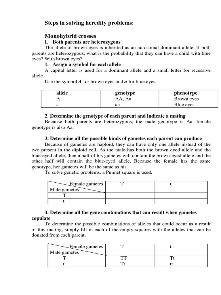Steps in Solving Heredity Problems: Monohybrid Crosses | PDF | Genotype ...