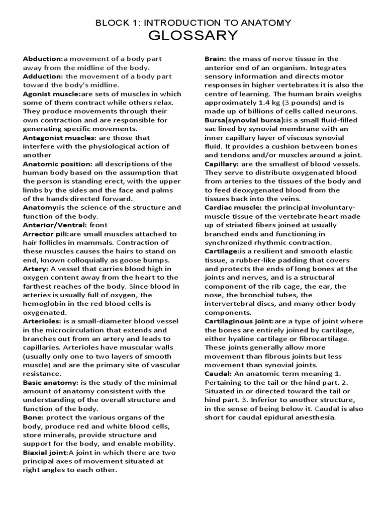 Anatomy Glossary: Key Terms Explained | PDF | Human Body | Muscle ...