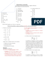 Formulario de Tipos de Matrices | PDF | Determinante | Matriz (Matemáticas)