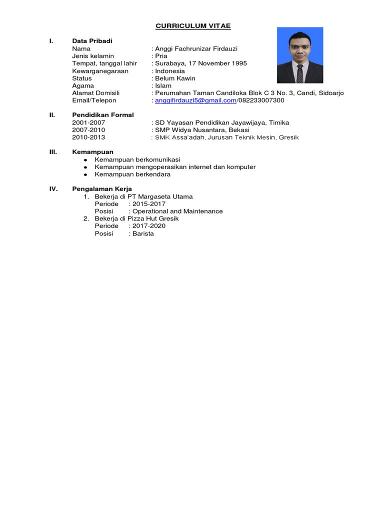 CV Anggi | PDF