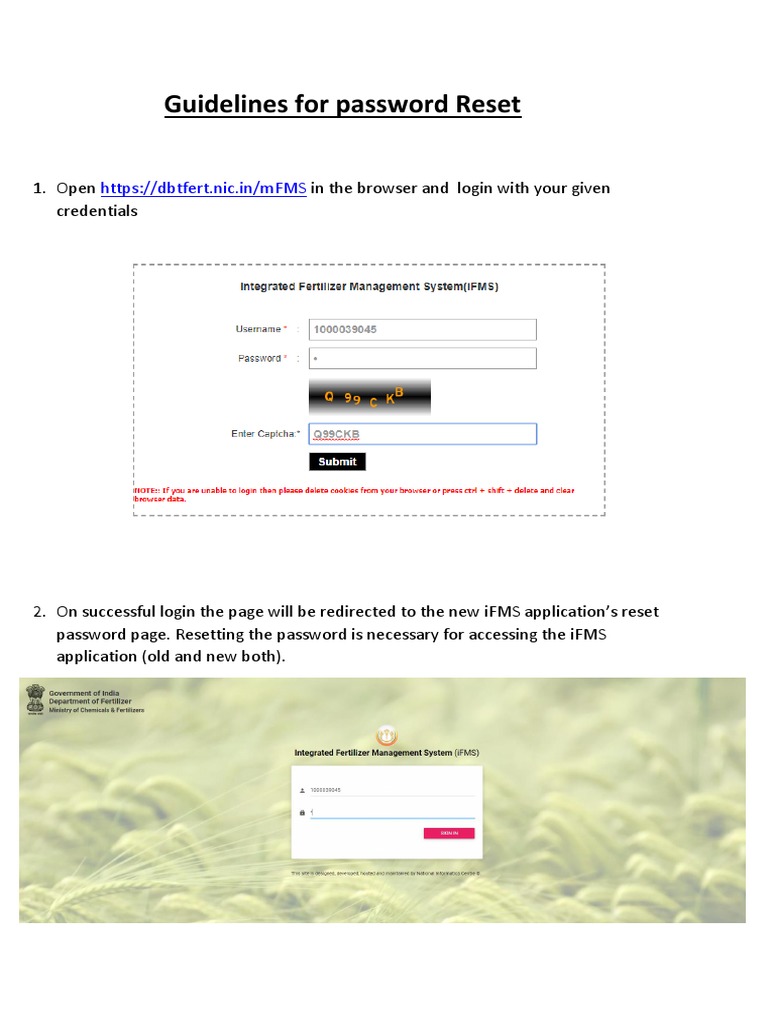 Guidelines For Password Reset | PDF