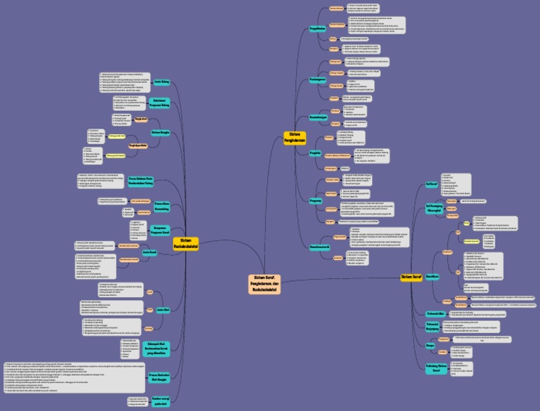 Mindmap 1 Pdf