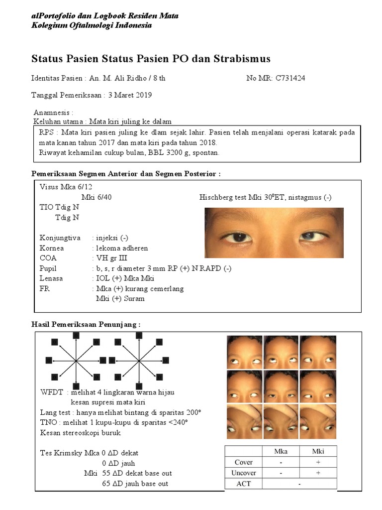 2019 Mar April Soft File Logbook PO Strabismus | PDF