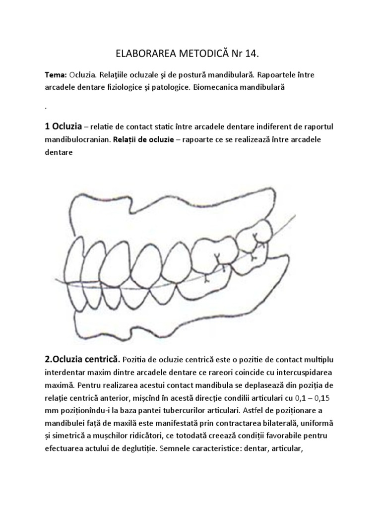 14 Ocluzia Morfo | PDF