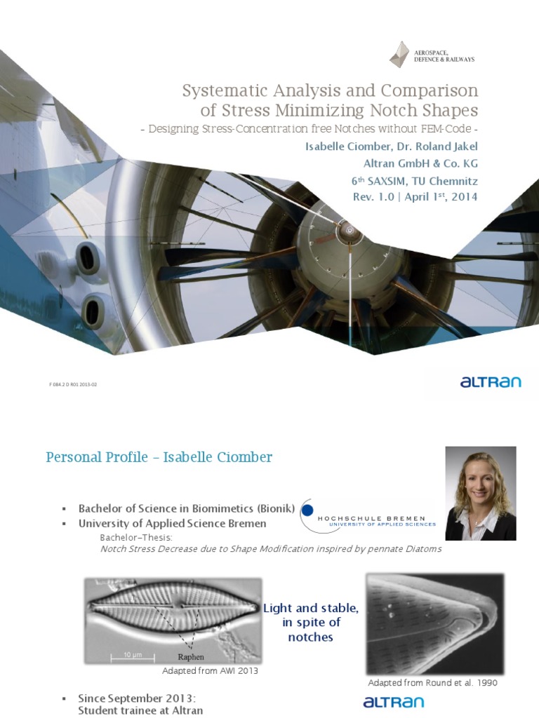 Systematic Analysis and Comparison of Stress Minimizing Notch Shapes ...