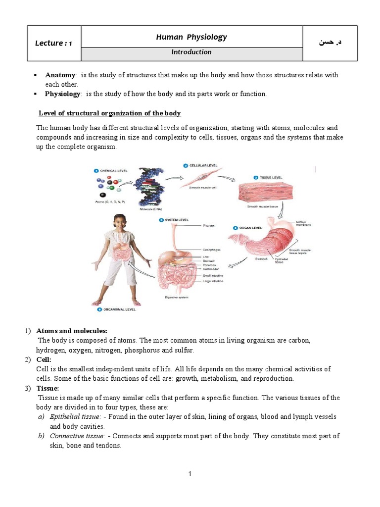Human Physiology: Level of Structural Organization of The Body | PDF ...