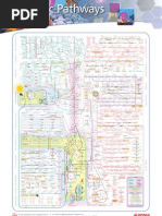 Brix To Refractive Index Conversion Table | PDF | Scientific ...