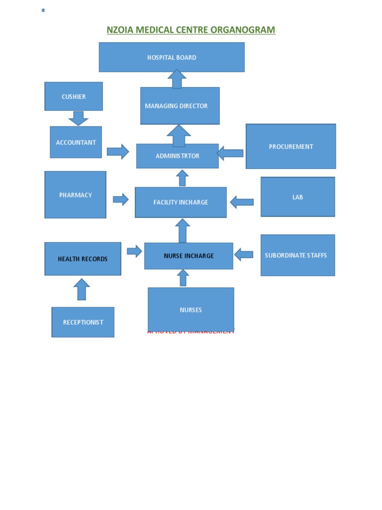 Organogram NMC | PDF
