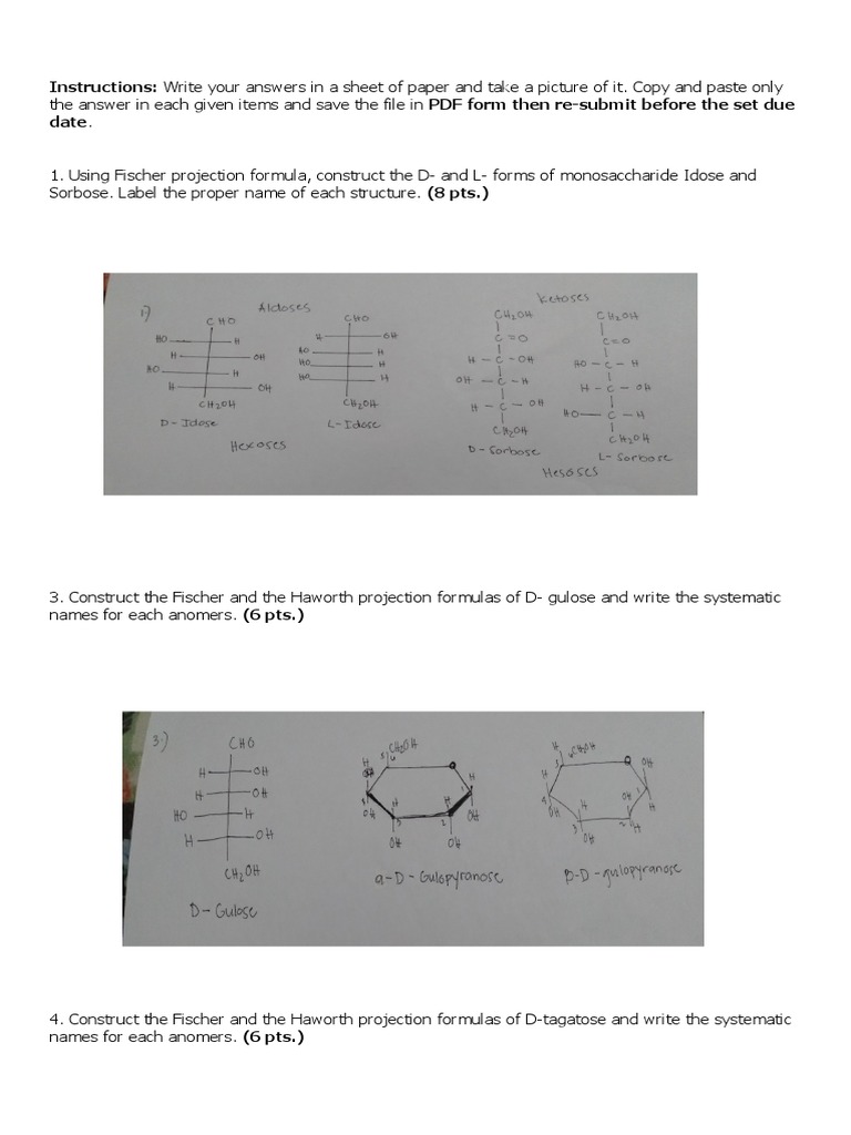 Fischer and Haworth Projections Guide | PDF | Language Arts & Discipline