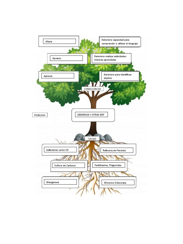 Arbol de Problemas Demencia F02.8 | PDF