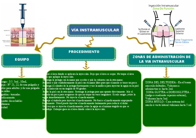 Via Intramuscular | Descargar gratis PDF | Inyección (medicina) | Medicina