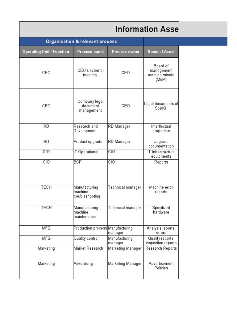 CEO Information Assets Inventory | PDF | Chief Information Officer ...