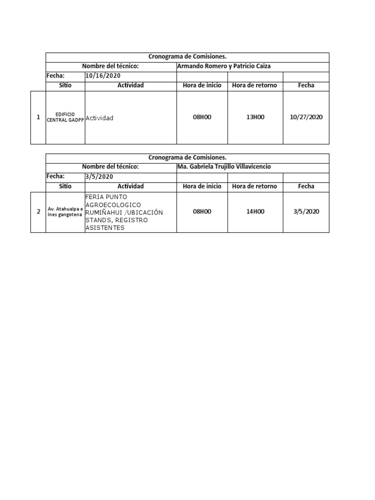 Formato de Comisiones | PDF