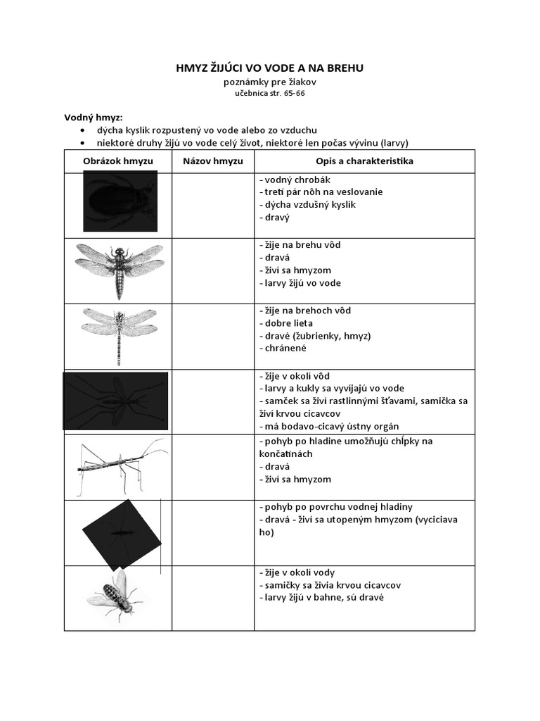 HMYZ ŽIJÚCI VO VODE A NA BREHU - poznámky pre žiakov | PDF