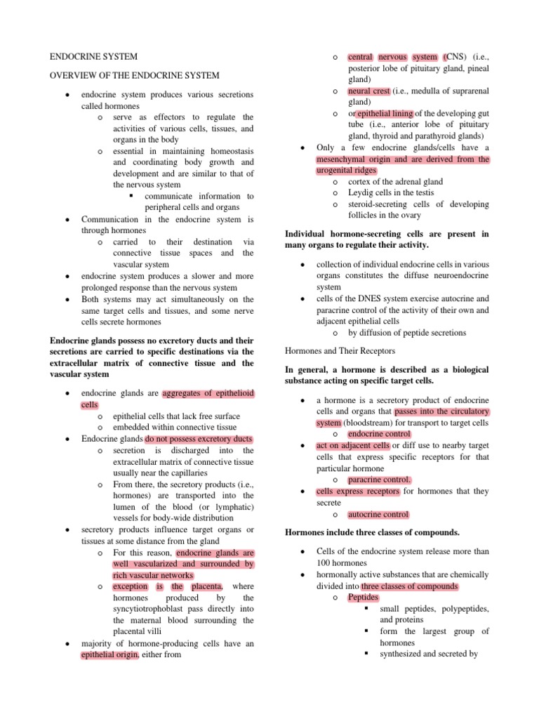 Overview of the Endocrine System | PDF | Endocrine System | Pituitary Gland